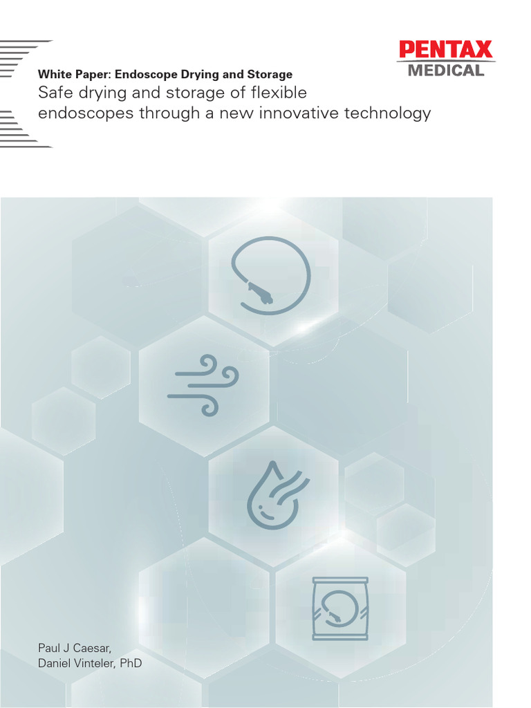 PENTAX Medical PlasmaTYPHOON - White Paper | PDF | Ozone | Endoscopy