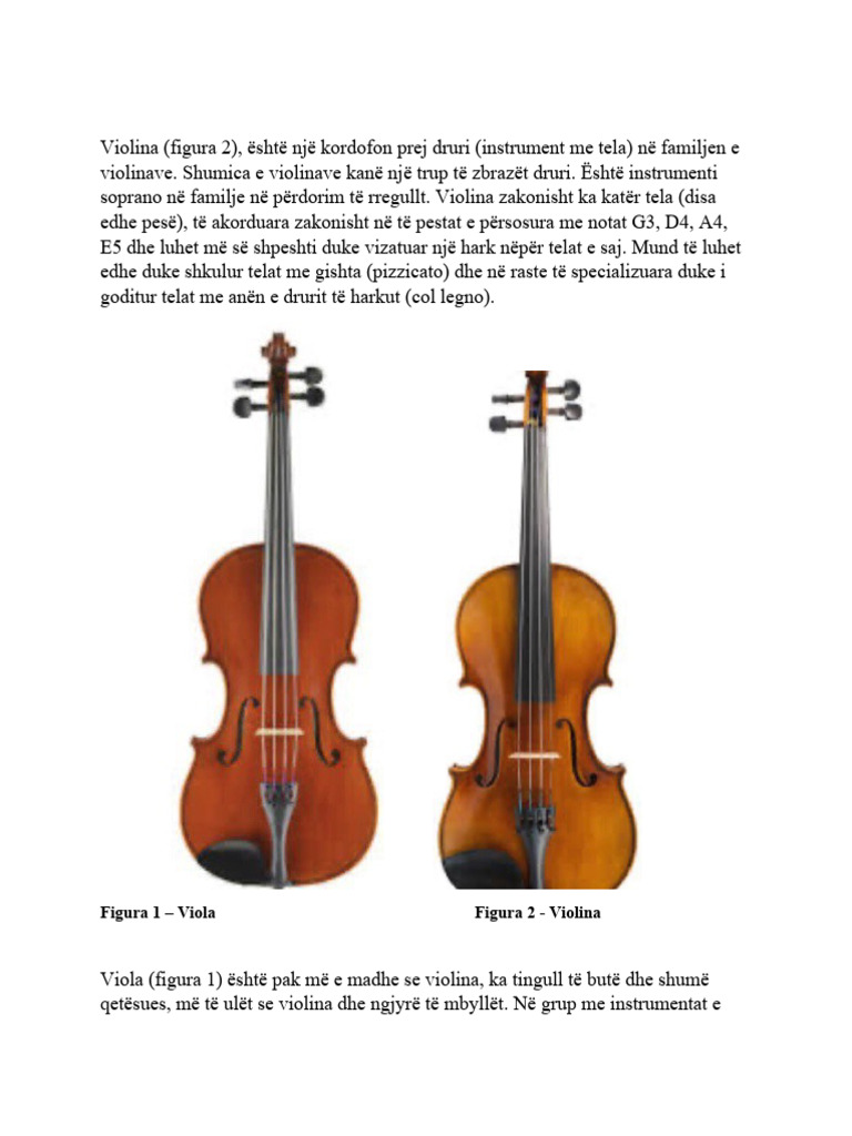 Violina Dhe Viola | PDF