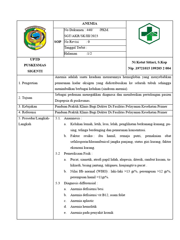 Panduan Diagnosa dan Terapi Anemia | PDF