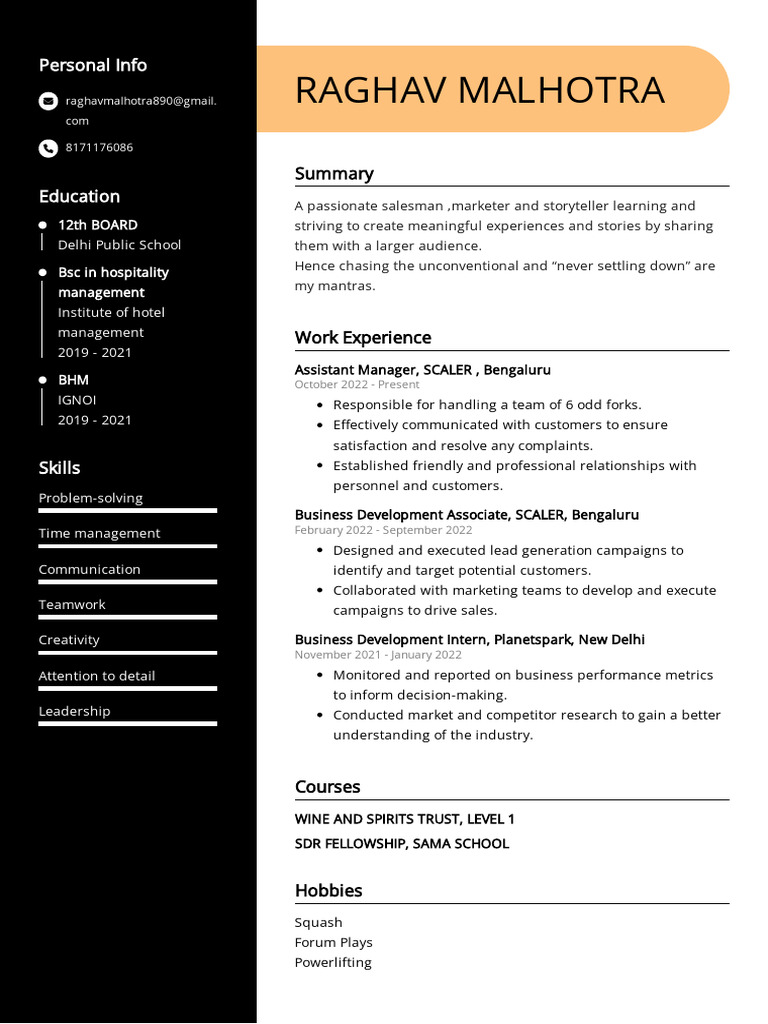 CV - Raghav Malhotra | PDF