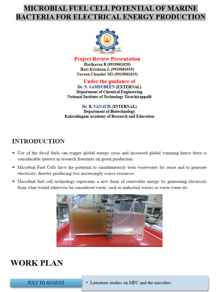 Marine Bacteria in Microbial Fuel Cells | PDF | Redox | Chemistry