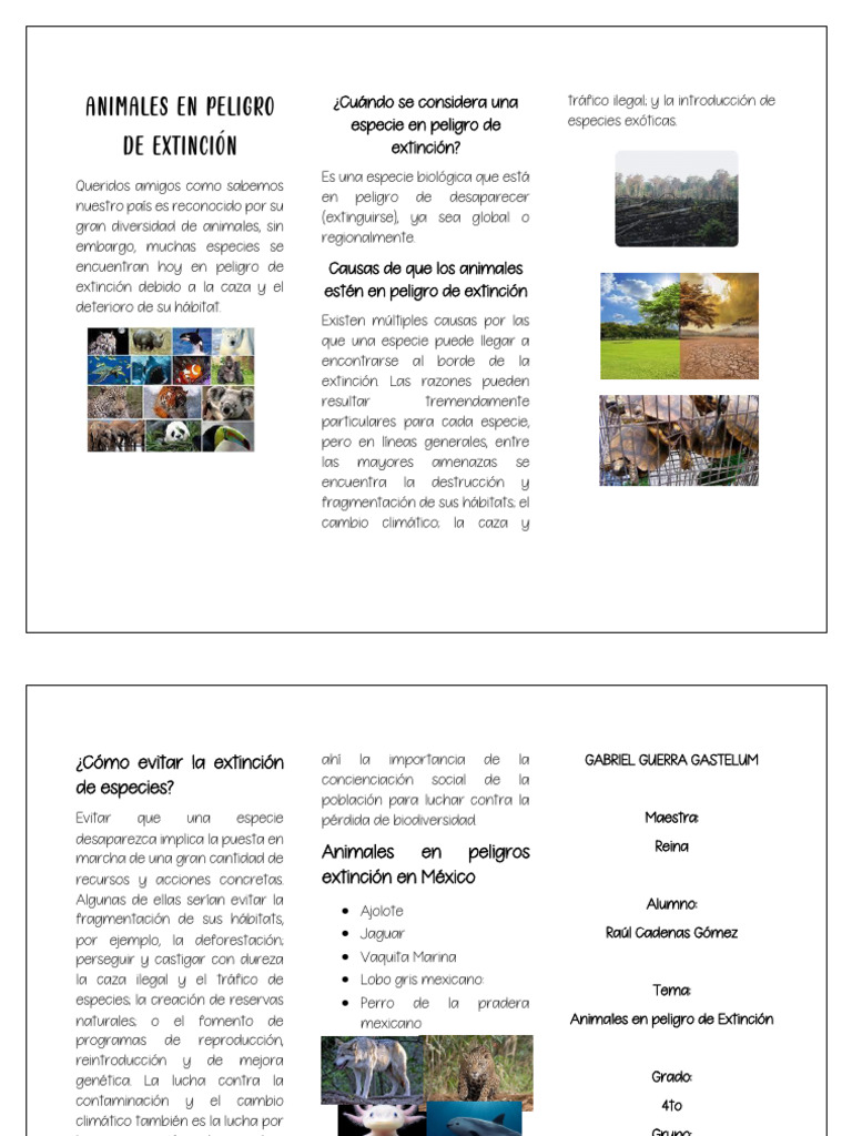 Animales en Peligro de Extincion Triptico | PDF | Especie en peligro | Extinción