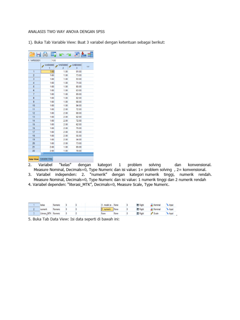 Two Way Anova Spss | PDF