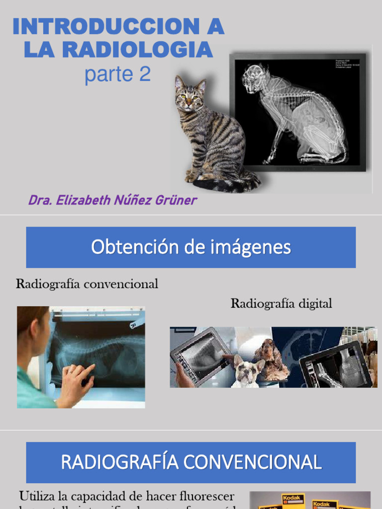 INTRODUCCION A LA RADIOLOGIA - Parte 2 | PDF | Rayo X | Radiografía