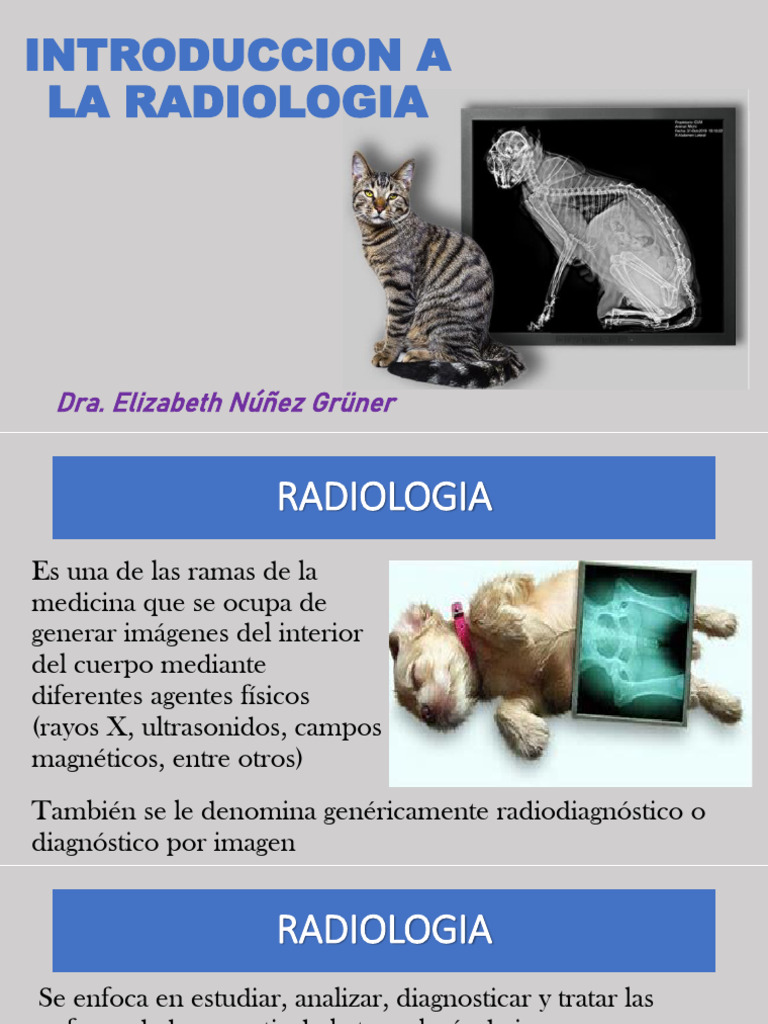 Clase 2 INTRODUCCION A LA RADIOLOGIA - Parte 1 | PDF | Rayo X | Radiología Clase 2 INTRODUCCION A LA RADIOLOGIA - Parte 1 | PDF | Rayo X | Radiología