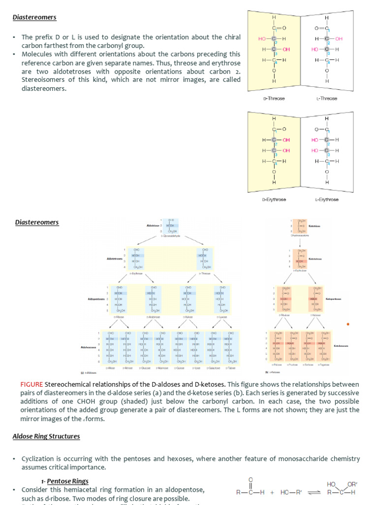 Lectures - Biochemistry 1 - 2021-2022 Prof Version 6.01 - 23-24-31-61 ...