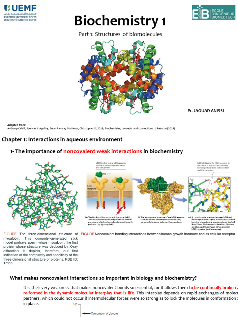 Lectures - Biochemistry 1 - 2021-2022 Prof Version 6.01 - 23-24-1-30 ...