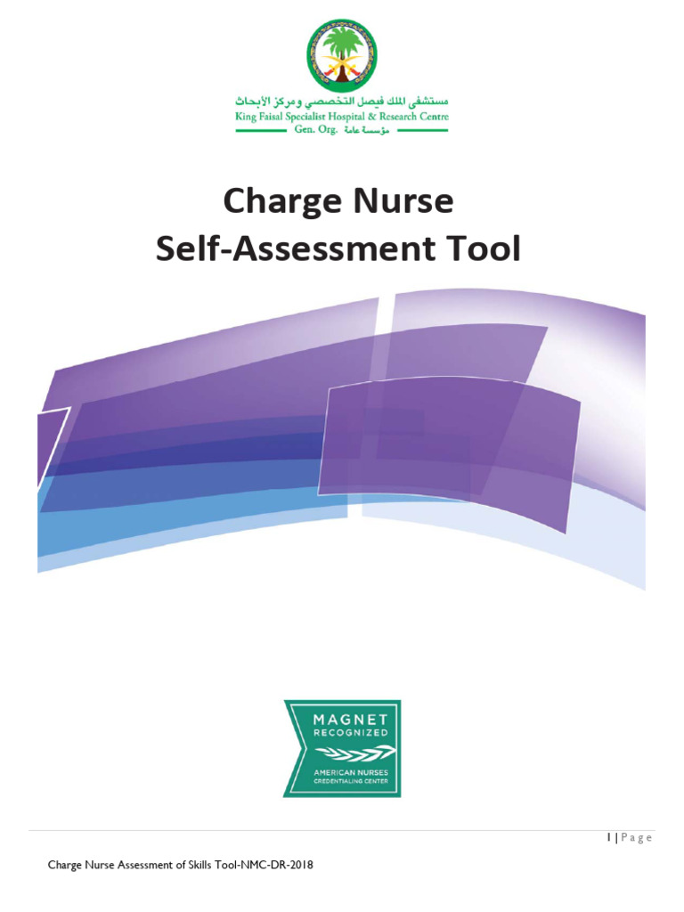 CN Self-Assessment Tool | PDF | Nursing | Caregiver