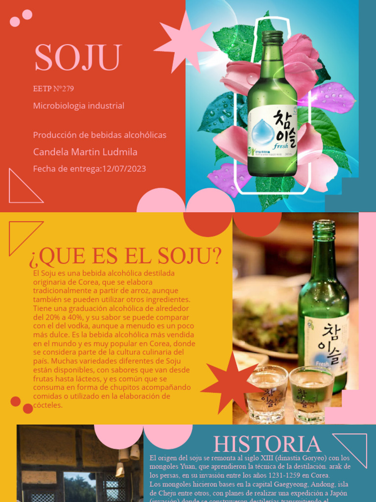 Candela Martin SOJU | PDF | Bebida | Fermentación