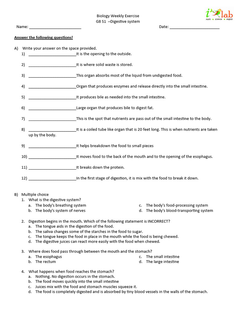 B g8 Digestive System | PDF | Digestion | Gastrointestinal Tract