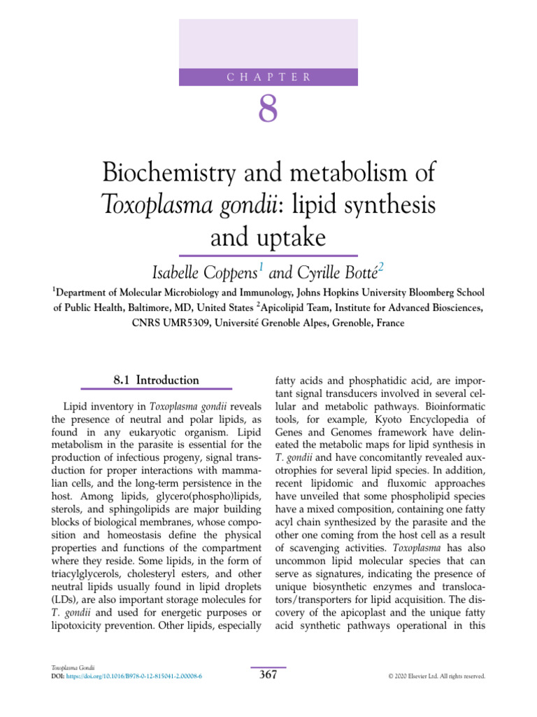 BAB VIII - Biochemistry and Metabolism of Toxoplasma Gondii Lipid Synthesis and Uptake | PDF ...