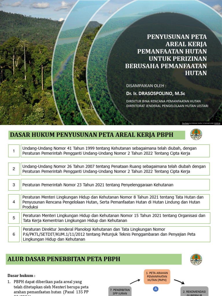 Direktrur BRPH - Pembuatan Peta Areal Kerja PBPH | PDF