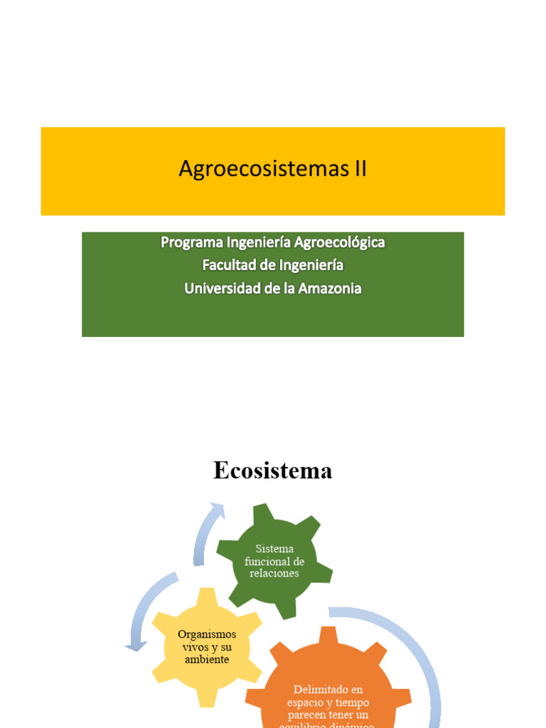 Tipos y Análisis de Agroecosistemas | PDF | Ecosistema | Hierba