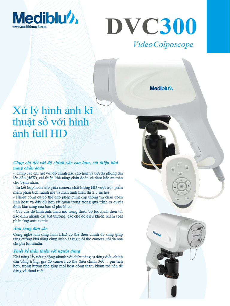 Bro-Dvc 300 Rev VN | PDF