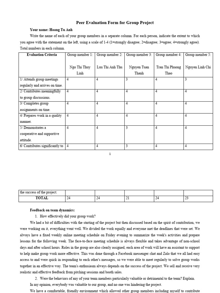 Group Project Peer Evaluation Form | PDF | Thought | Experience