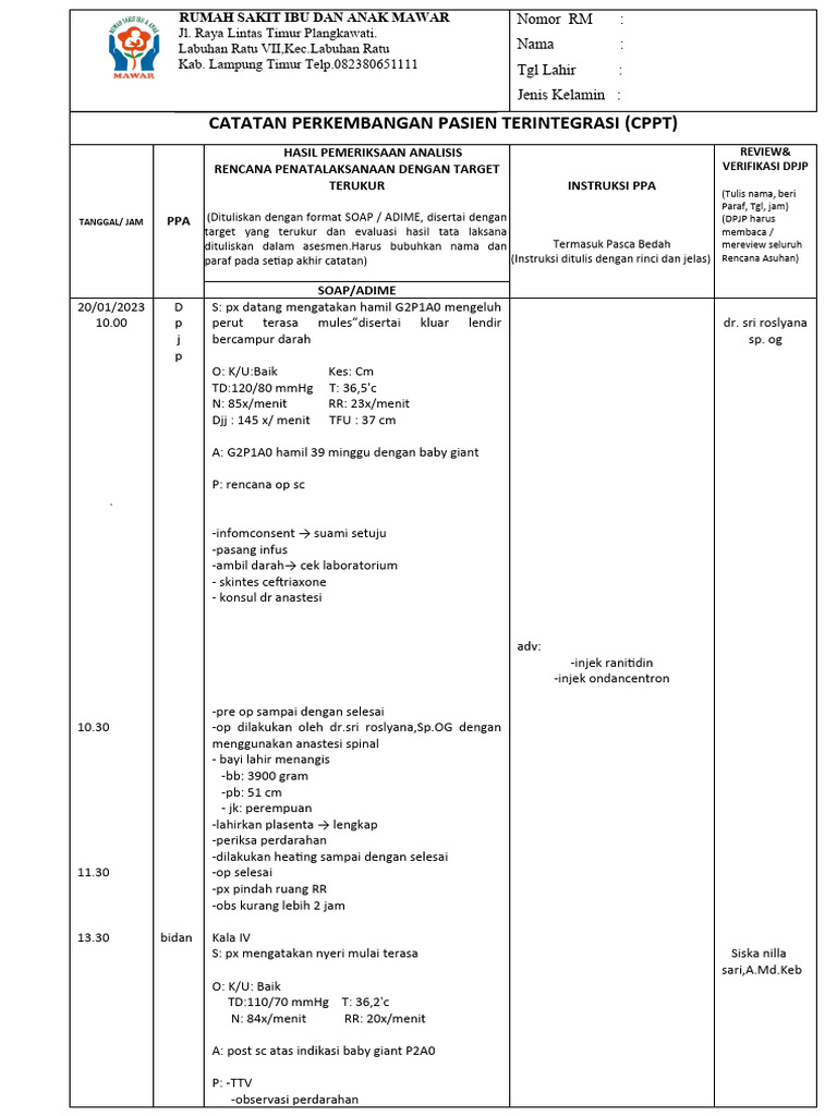 CPPT Baby Giant | PDF