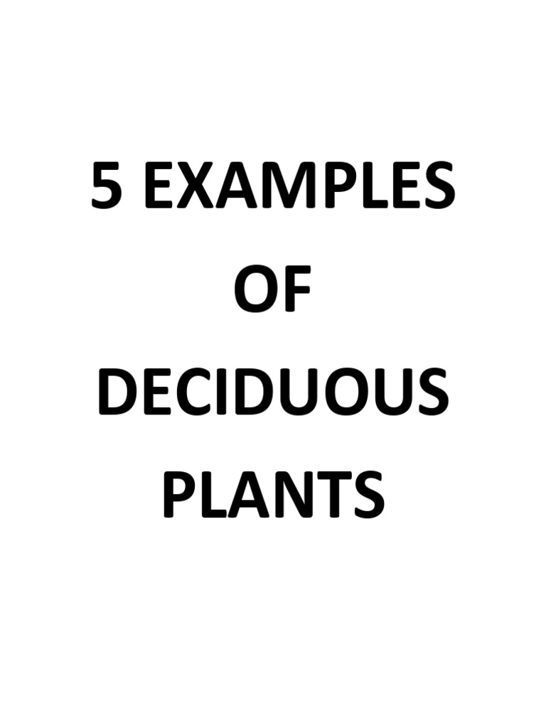 5 Examples of Deciduous Plants | PDF