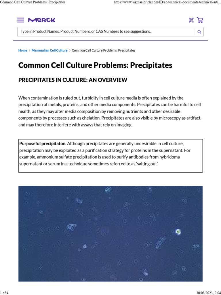 Common Cell Culture Problems Precipitates | PDF | Precipitation ...