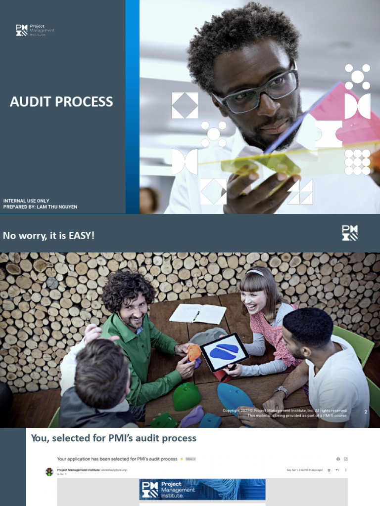 Audit Process | PDF