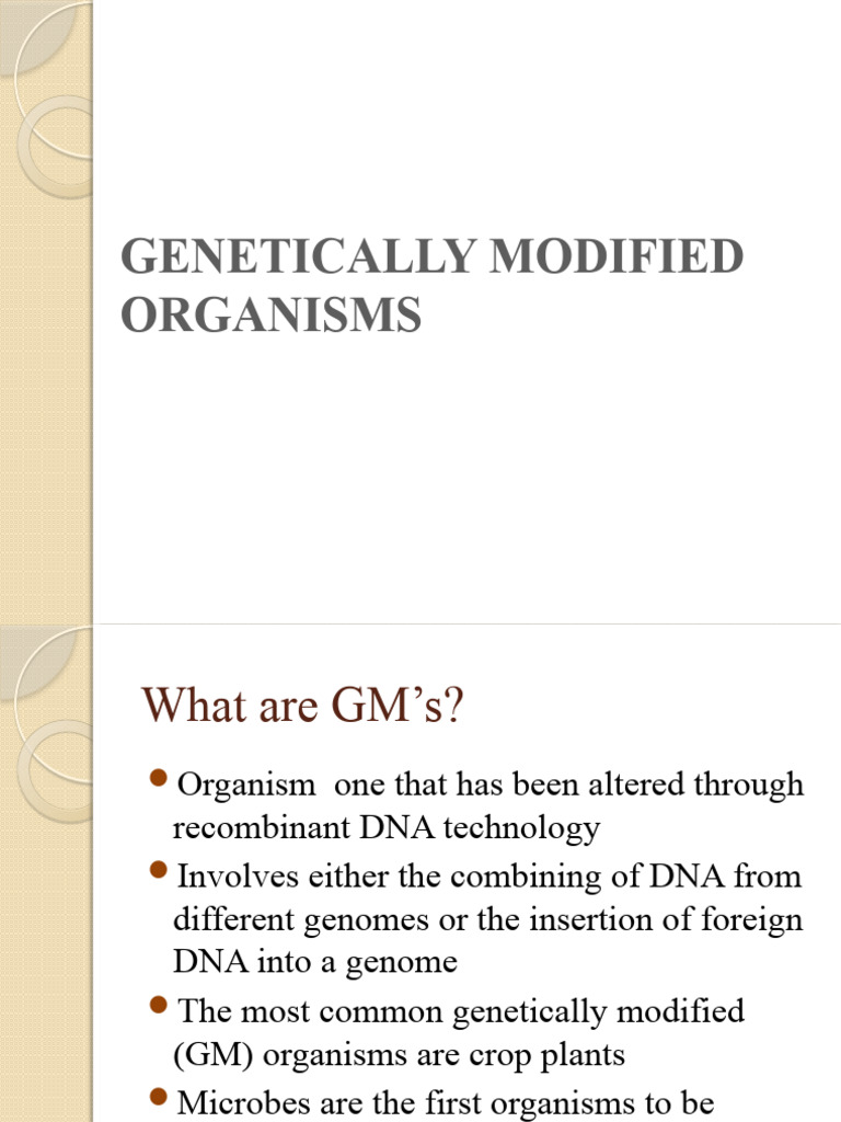4 Gmo | PDF | Genetically Modified Organism | Genetic Engineering