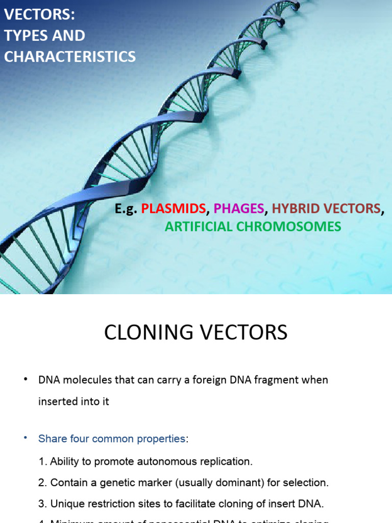 3.basic Tools - Cloning Vectors | PDF | Plasmid | Vector (Molecular Biology)