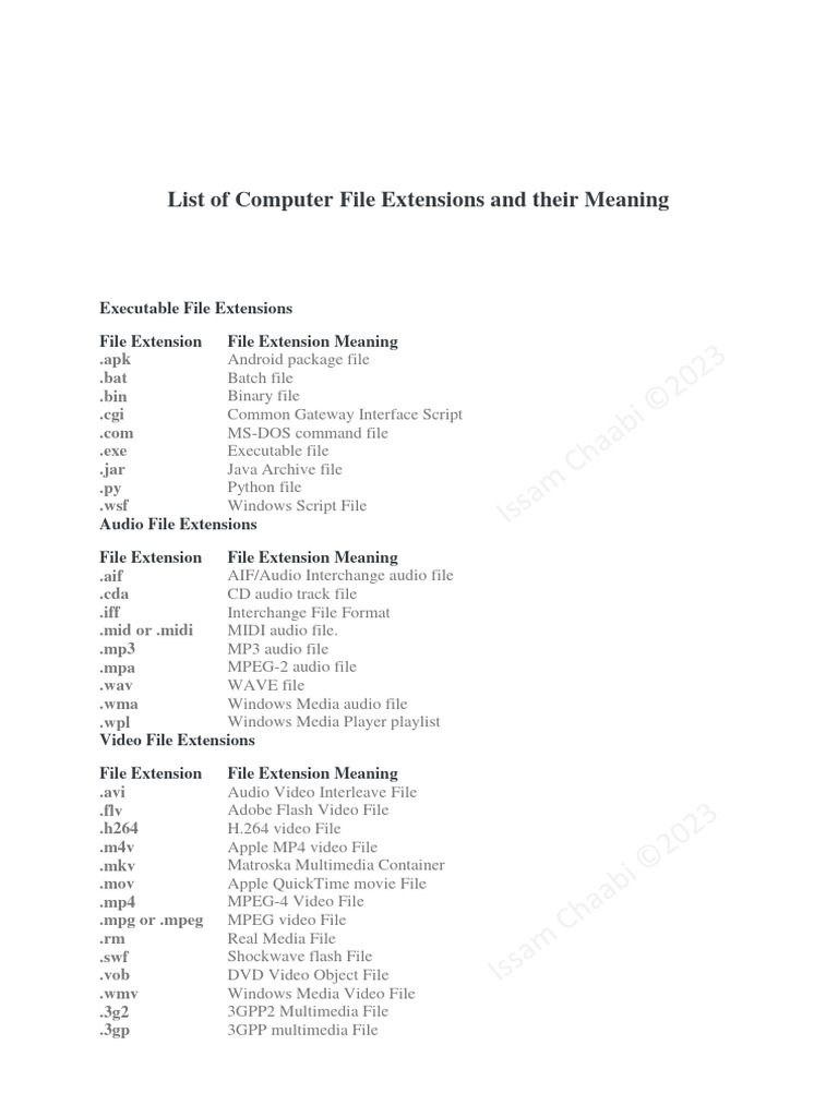 List of Computer File Extensions and Their Meaning | Download Free PDF ...