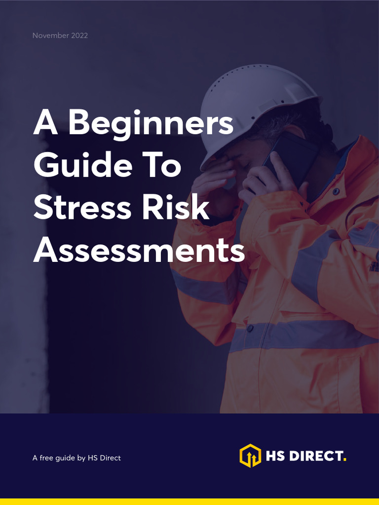 Stress Risk Assessment Guide | PDF | Occupational Safety And Health | Risk