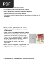 Antrostomía Maxilar: Información y Riesgos | PDF | Cirugía | Anestesia