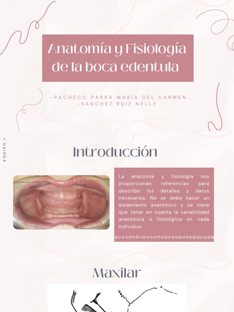 Anatomía y Fisiología de la Boca Edentula | PDF | Rasgos faciales ...