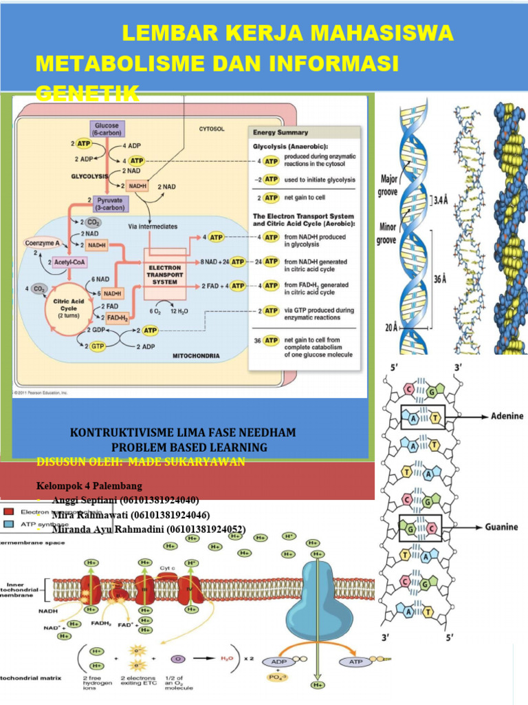 LKM (13) Me | PDF | Kesehatan Holistik | Komputer