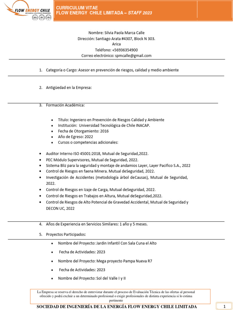 Cv Silvia Marca | PDF | Seguridad y salud ocupacional | Chile