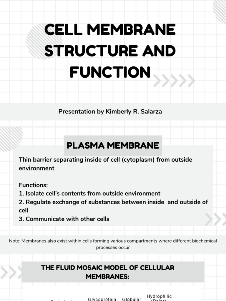 Cell Membrane Structure and Function | PDF | Cell Membrane | Cell (Biology)