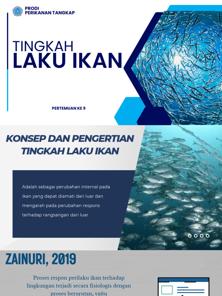 Tingkah Laku Ikan dalam Penangkapan | PDF