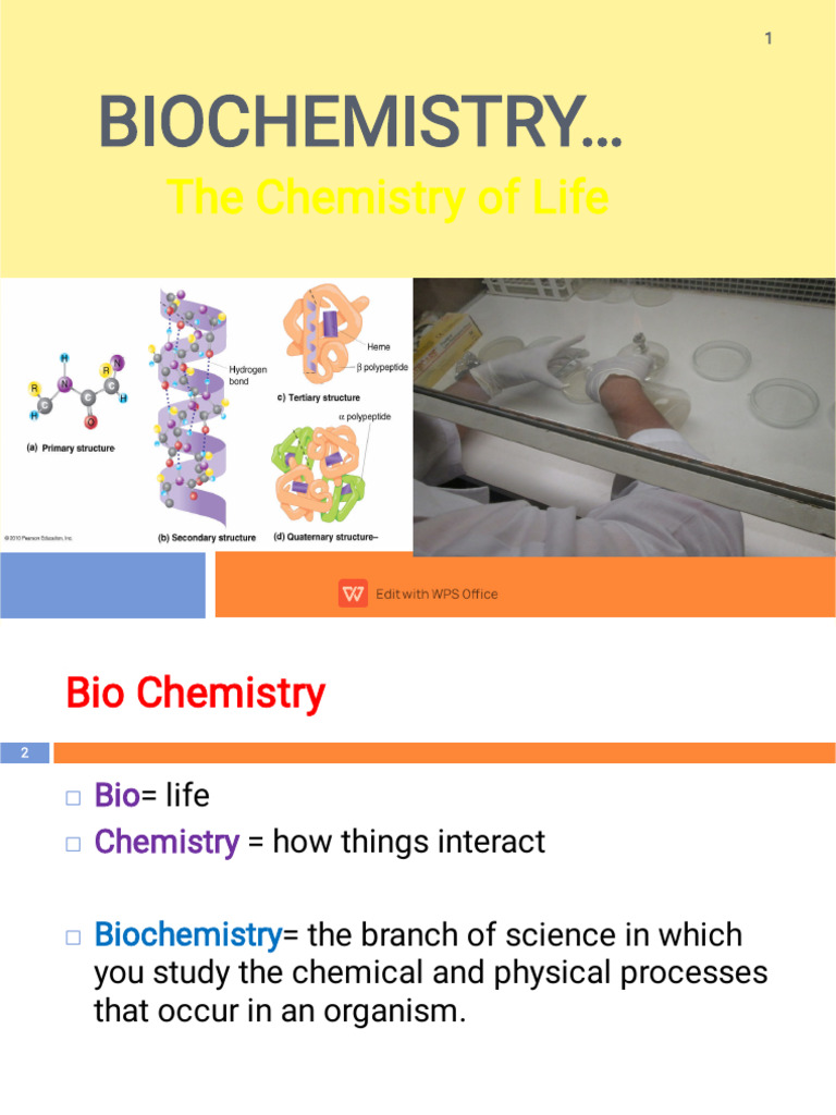 MC2Introduction To Biochemistry | PDF | Chemistry | Biochemistry