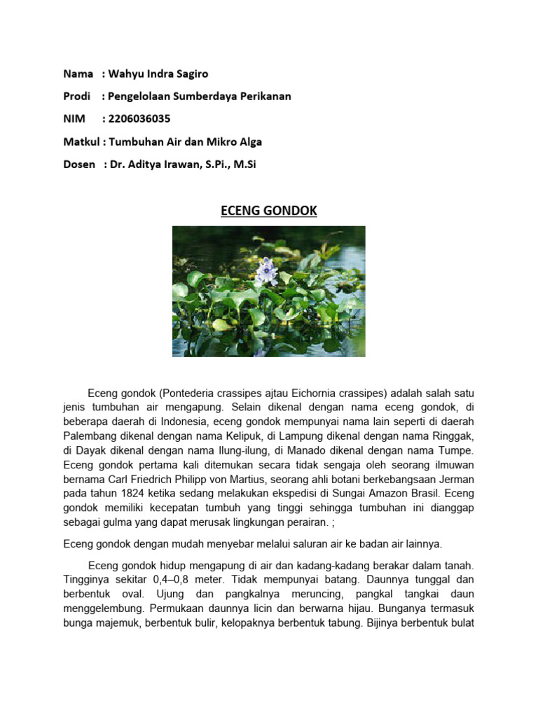 TUgas Tumbuhan Air Wahyu Eceng Gondok | PDF
