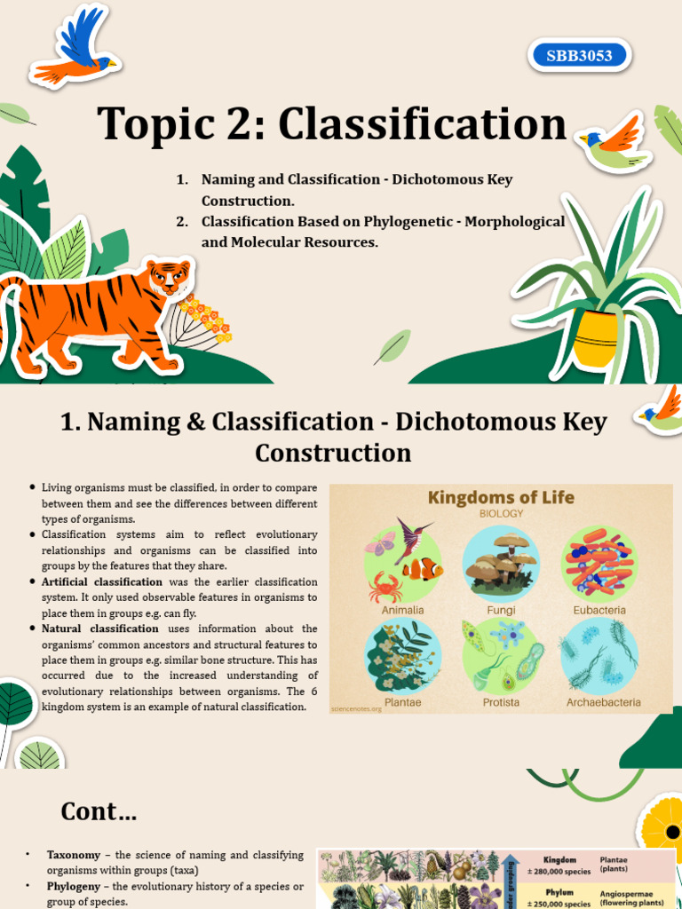 Topic 2 - Classification | PDF | Taxonomy (Biology) | Phylogenetic Tree