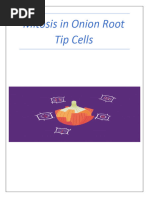 Lab Manual - Mitosis in An Onion Root Cell | PDF