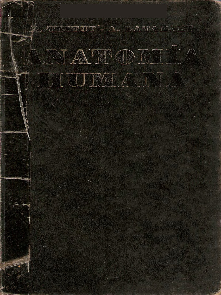 Tratado de Anatomia Humana Testut Latarjet T1 | PDF