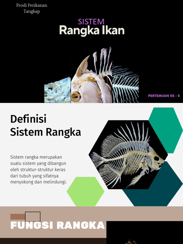 Pertemuan Ke-5 ''Sistem Rangka'' | PDF