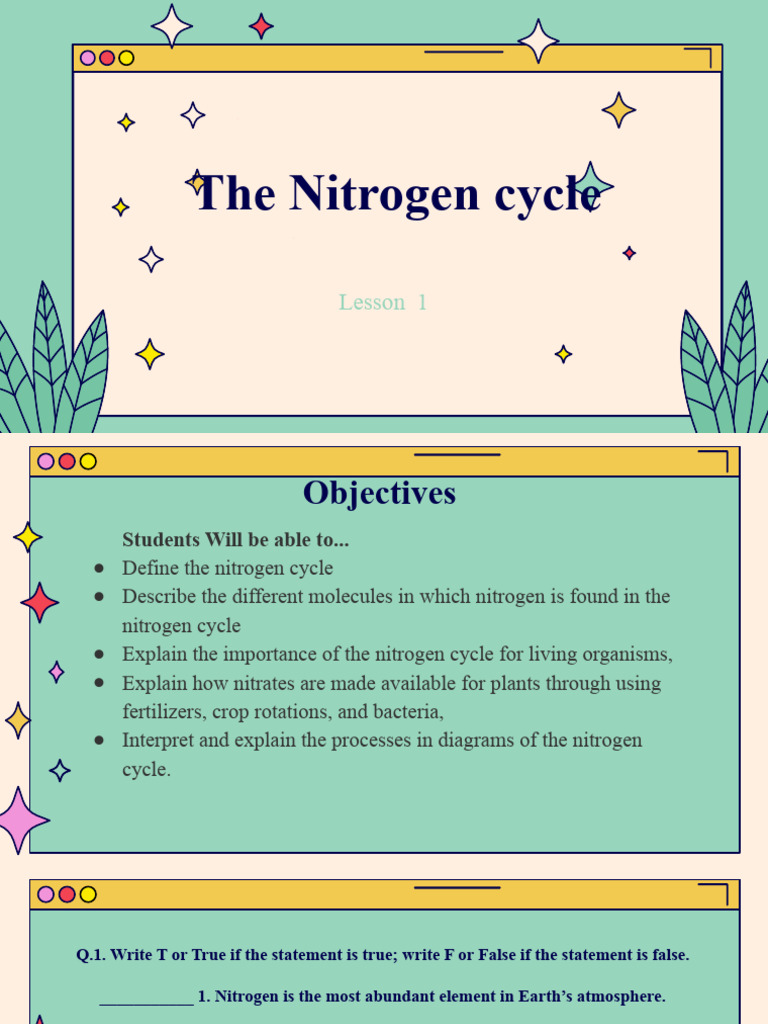 Lesson 6 - Nitrogen Cycle | PDF | Nitrogen | Soil