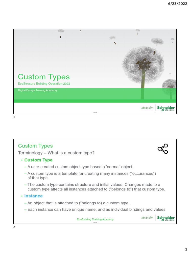 10 Custom Types EBO2022 May2022 v02 HANDOUT | PDF | Software Development | Computer Architecture