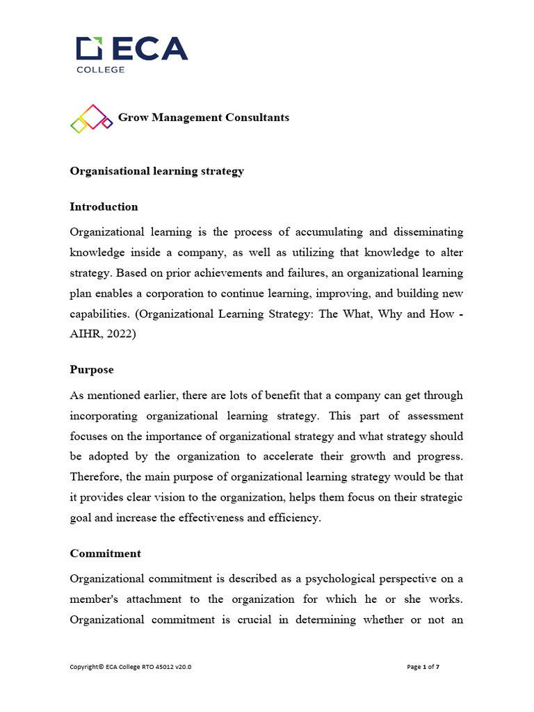 4organisational Learning Strategy Template | PDF | Learning ...