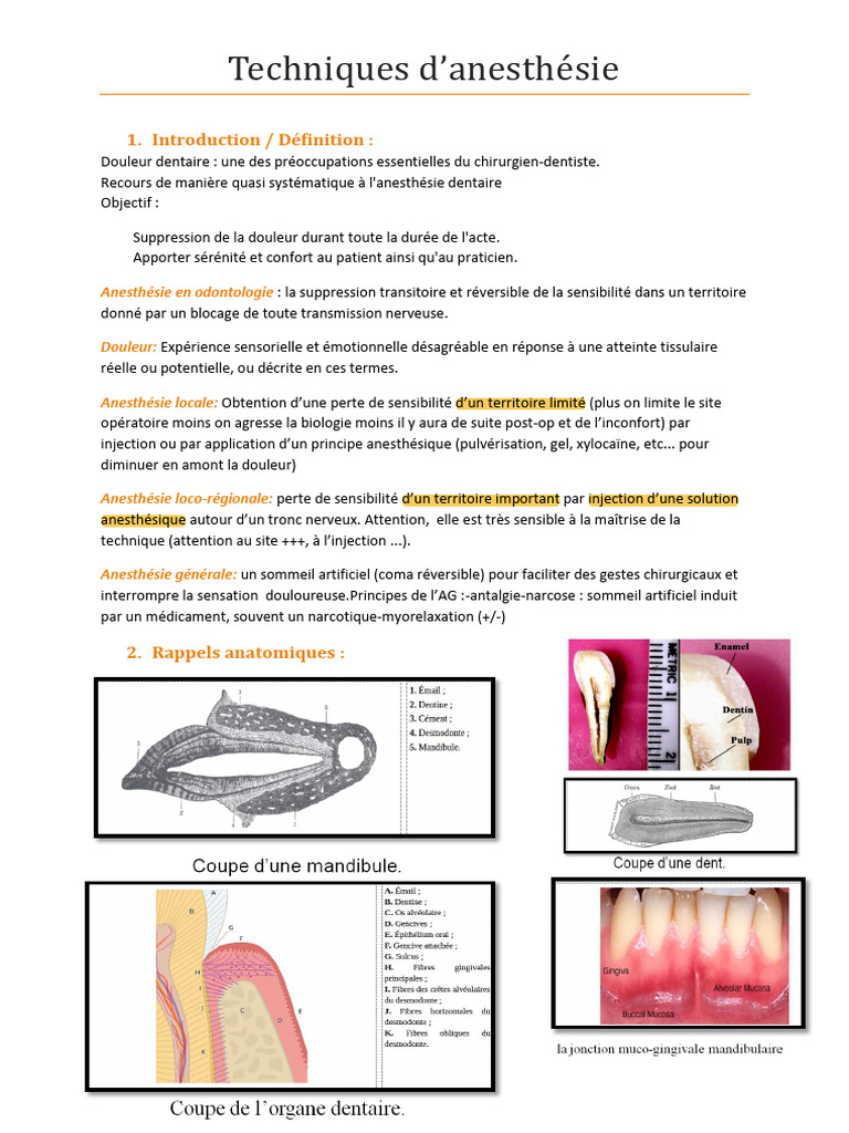 Techniques d'anesthésie dentaire | PDF | Anesthésie | Dentiste
