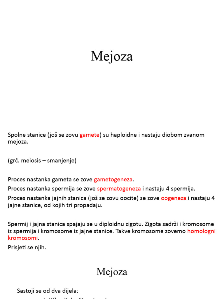 37 - Mejoza | PDF