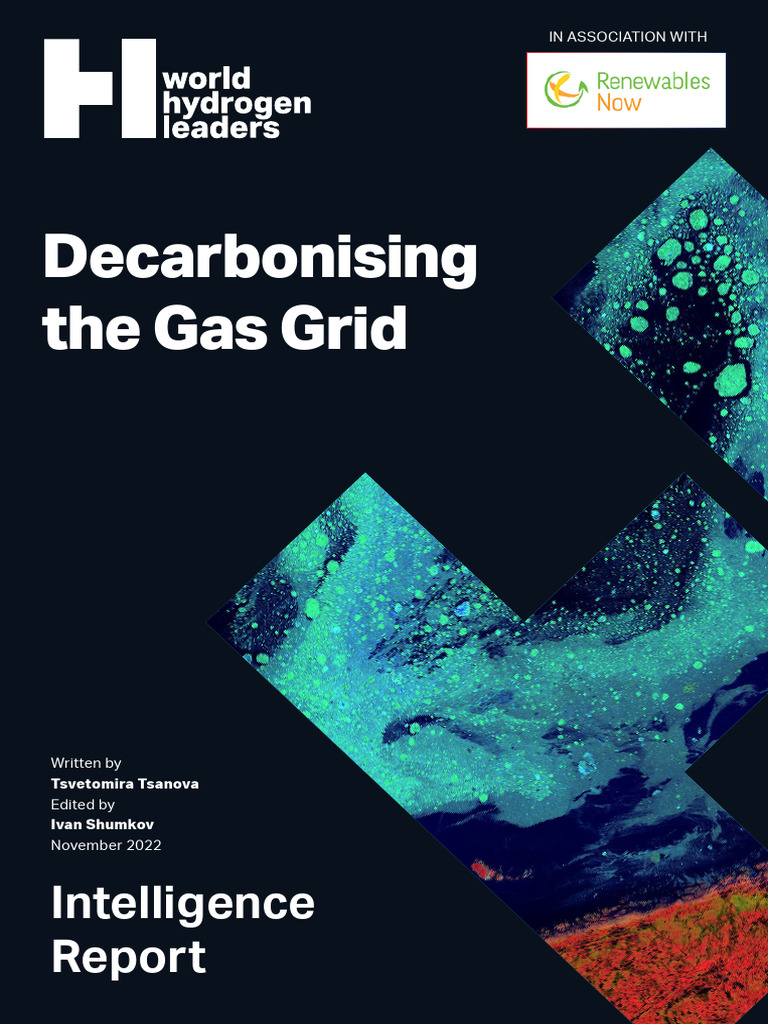 Decarbonising The Gas Grid | PDF | Natural Gas | Climate Change Mitigation