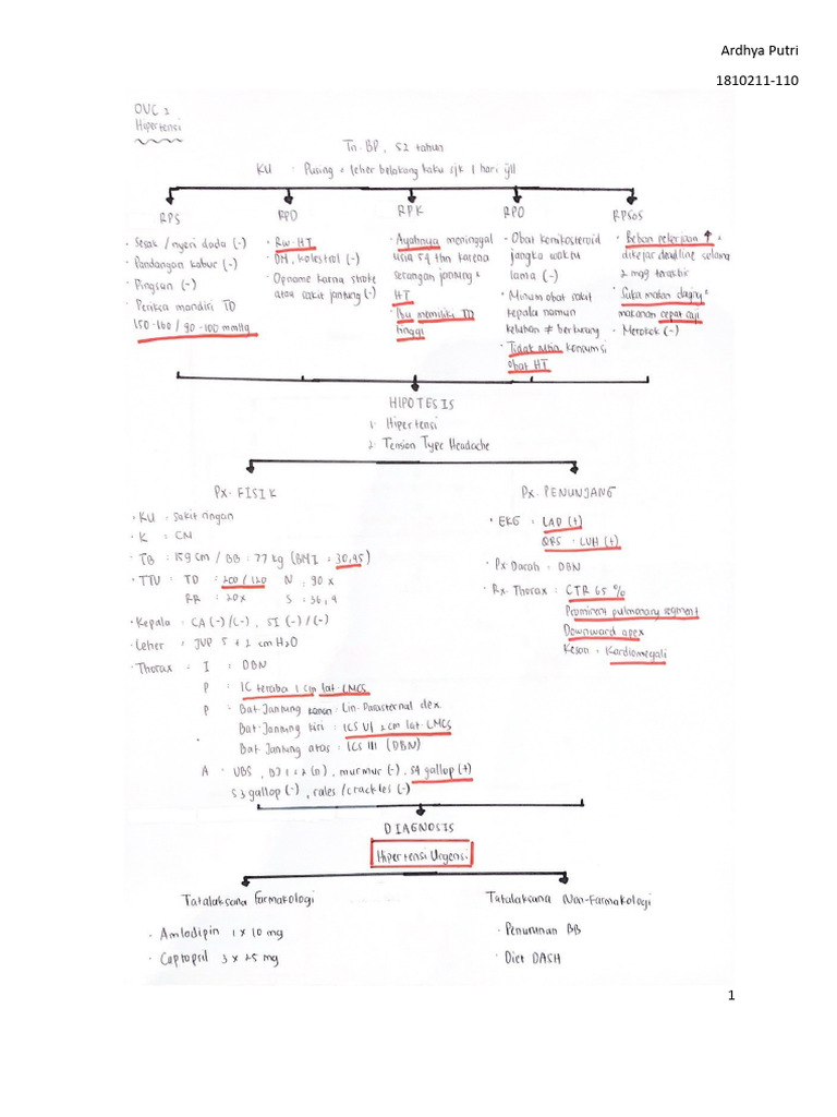 Case 5 - Stemi | PDF