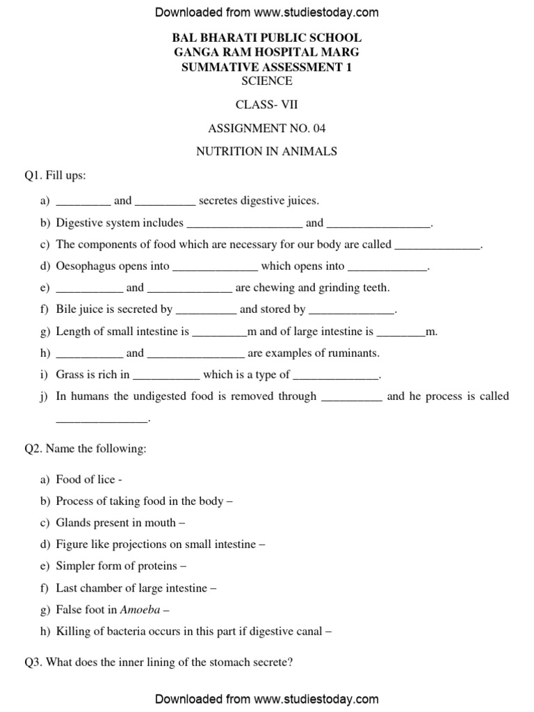 CBSE Class 7 Science Worksheet | PDF | Digestion | Gastrointestinal Tract