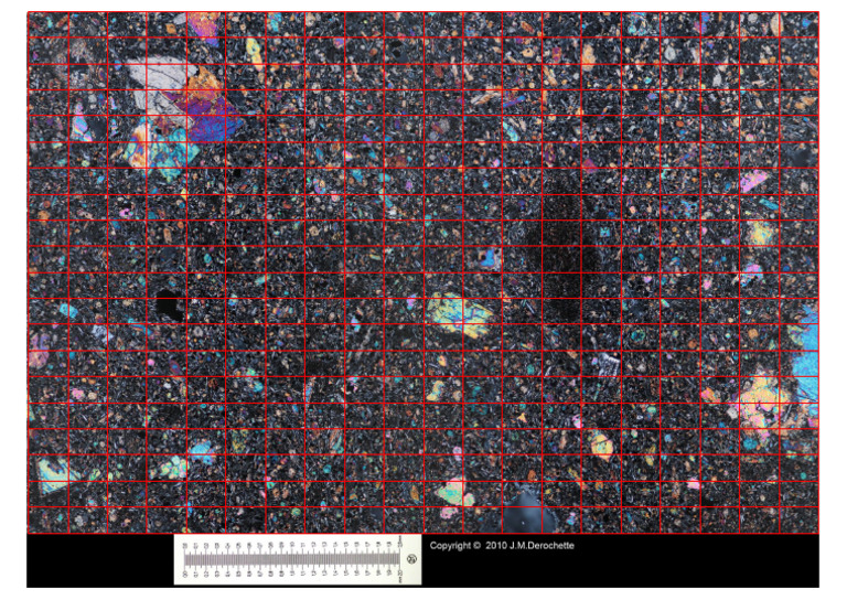 Point Counting Assessment | PDF