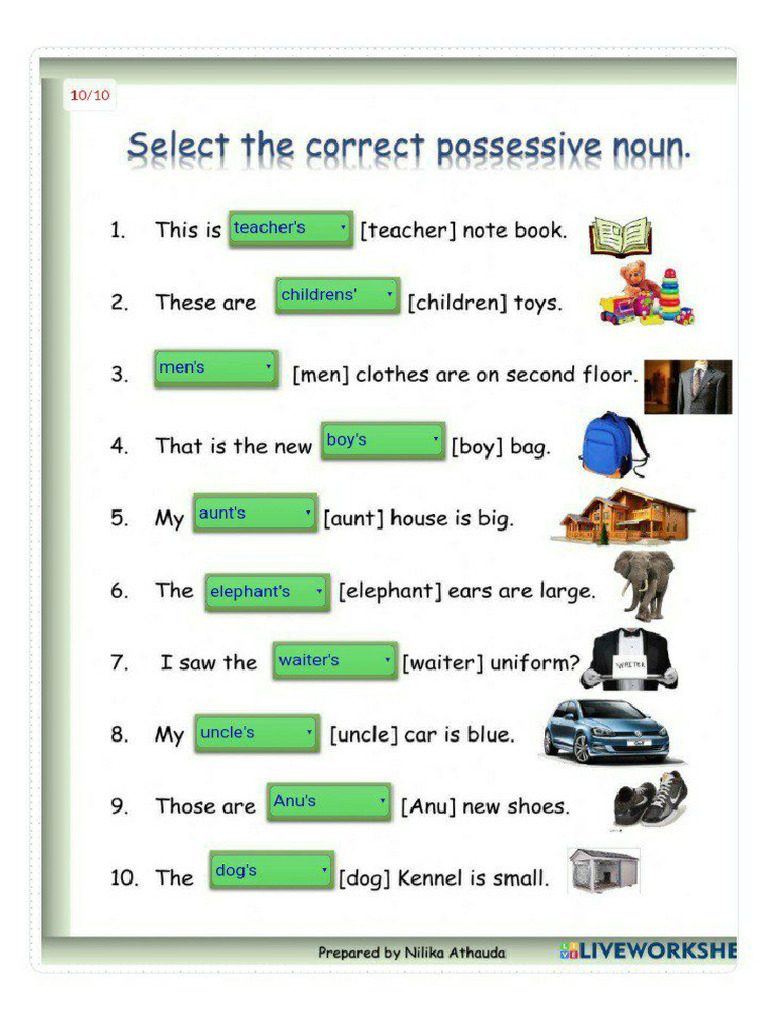Possessive Nouns Figueroa Nayeli | PDF
