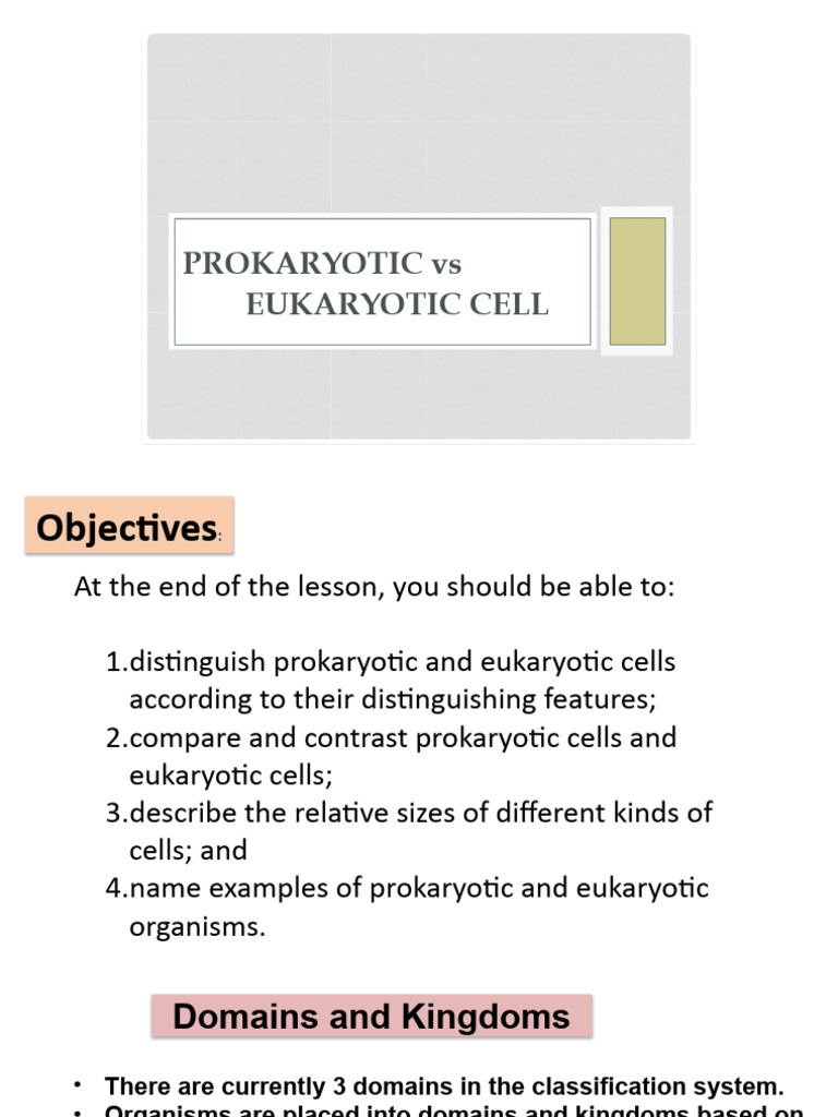 Prokaryotic Vs Eukaryotic Cell | PDF | Cell (Biology) | Eukaryotes